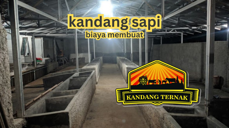 Biaya membuat kandang sapi - KandangTernak